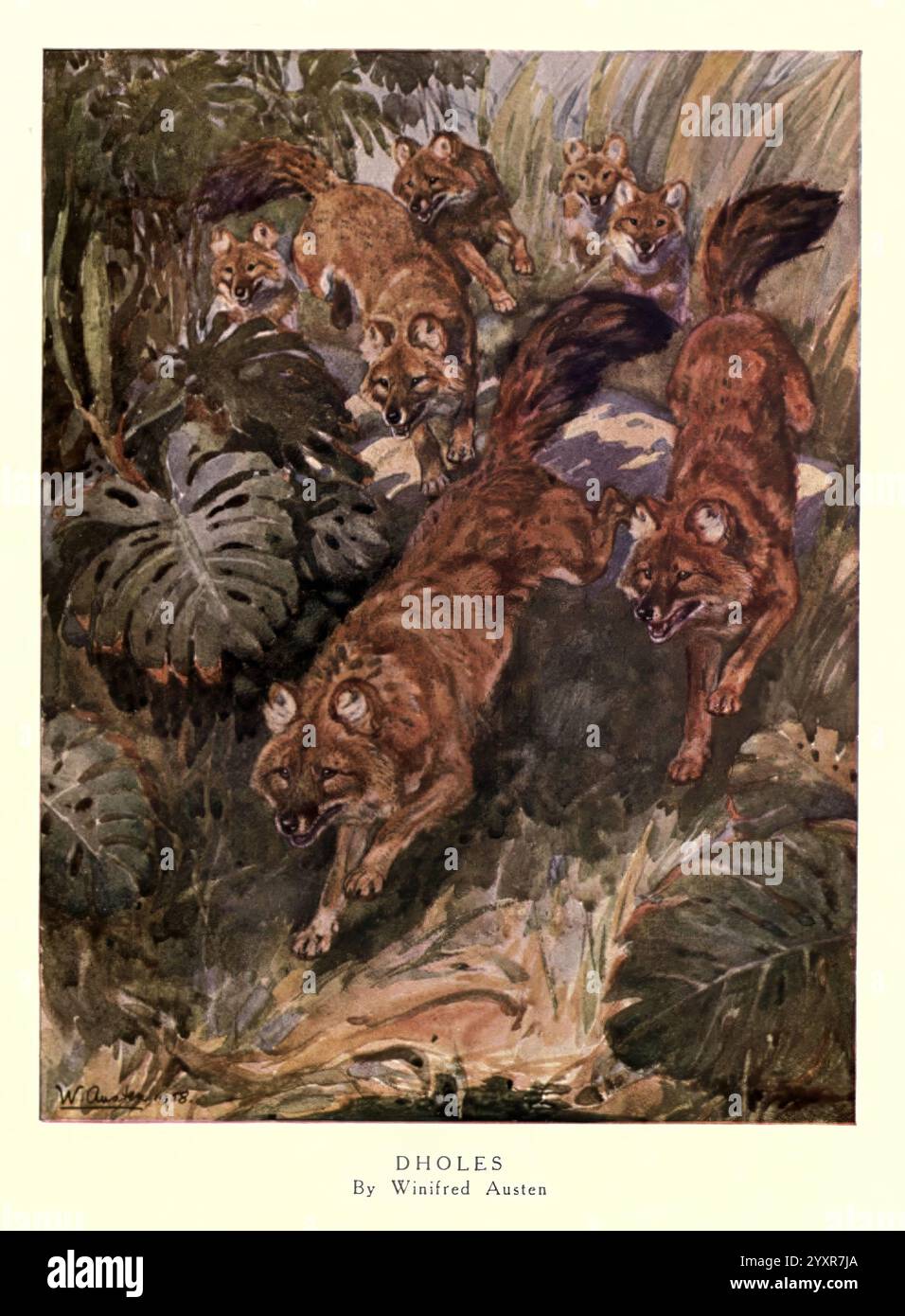 Scene in motion captures dense hi-res stock photography and images - Alamy