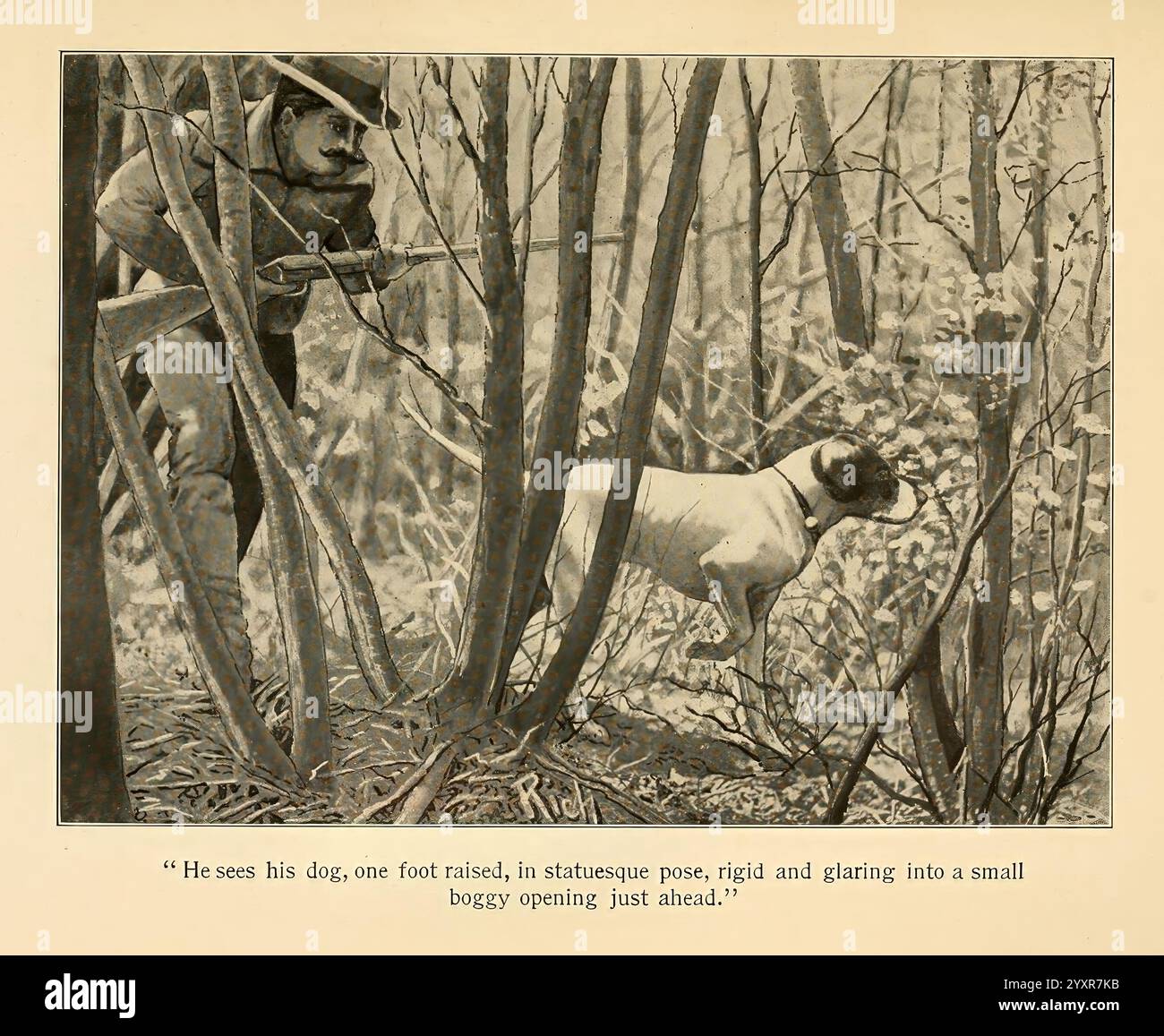 Dog crouched position hi-res stock photography and images - Alamy