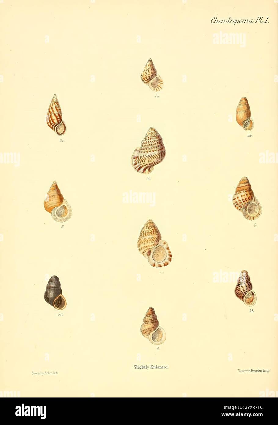 Side provide reference numbers hi-res stock photography and images - Alamy