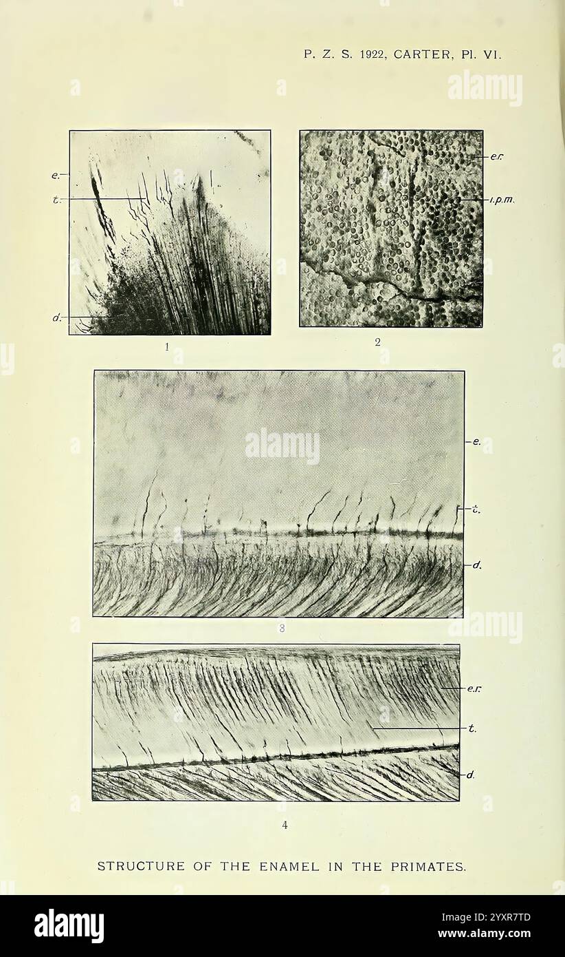 Enamels surface texture hi-res stock photography and images - Alamy