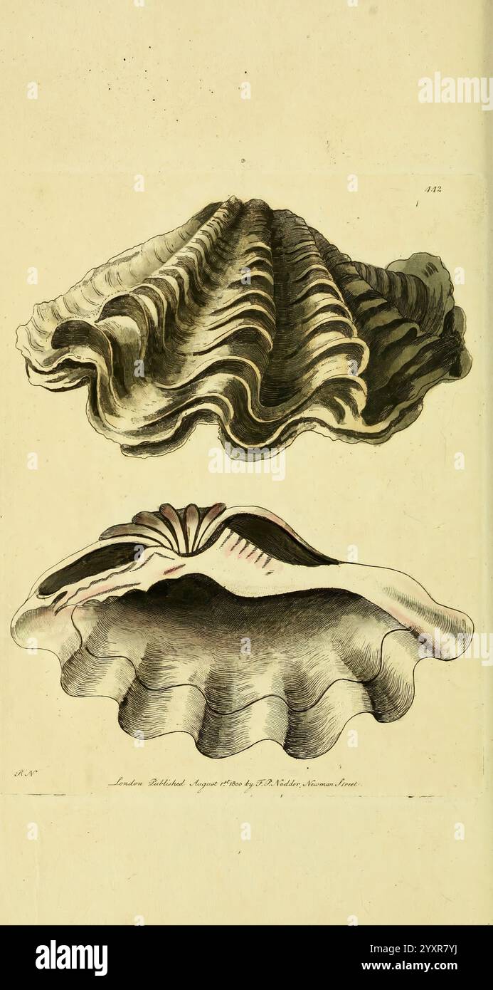 Scientific representation captures hi-res stock photography and images ...
