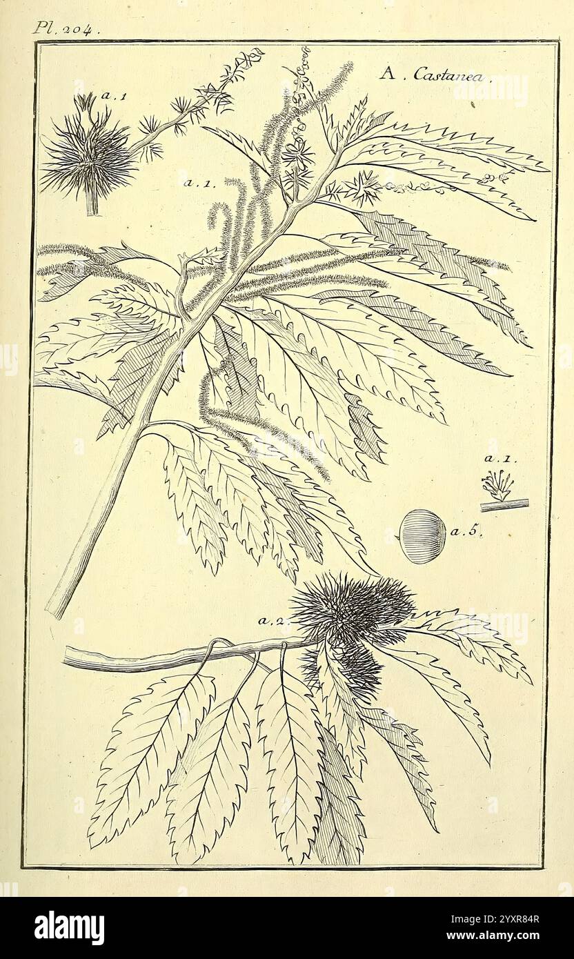 Les figures des plantes et animaux d'usage en medicine, Paris, Desprez ...