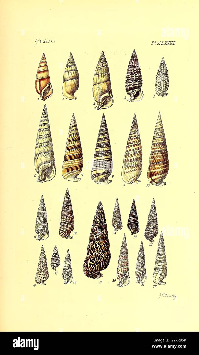 Numbered labels assist hi-res stock photography and images - Alamy