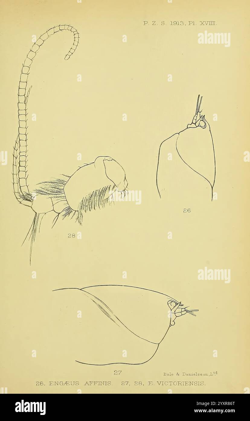 Proceedings of the Zoological Society of London, London, Academic Press ...