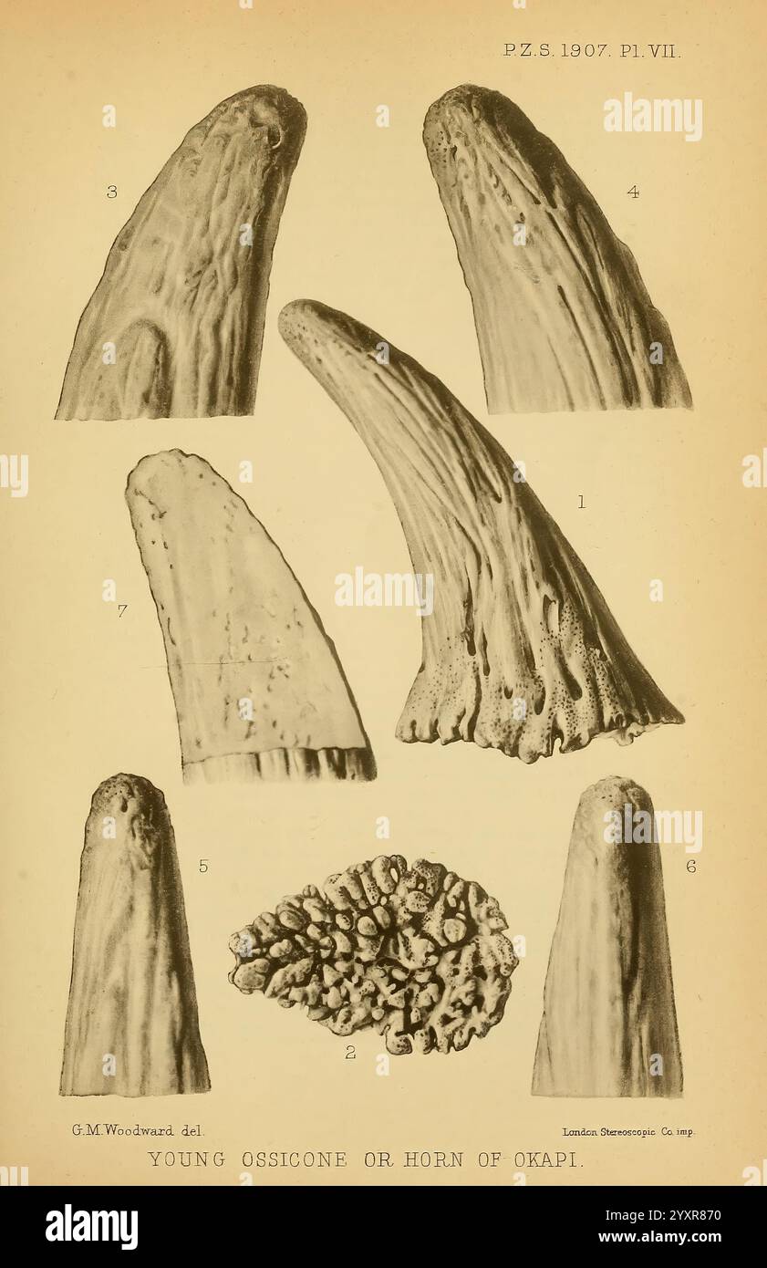Numbered representation showcases different angles hi-res stock ...