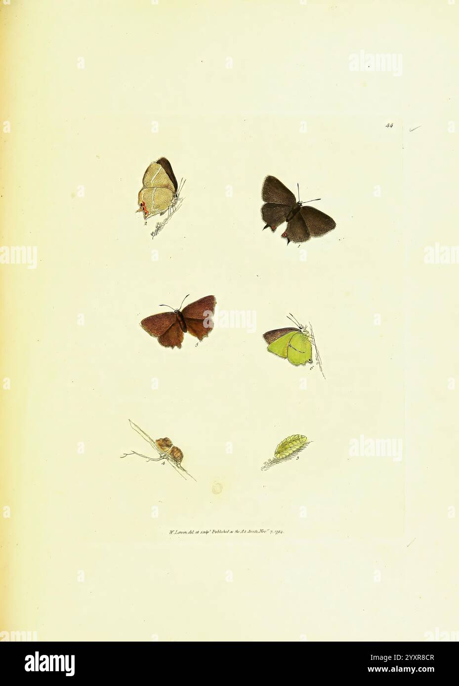 Subtle textures capture hi-res stock photography and images - Alamy