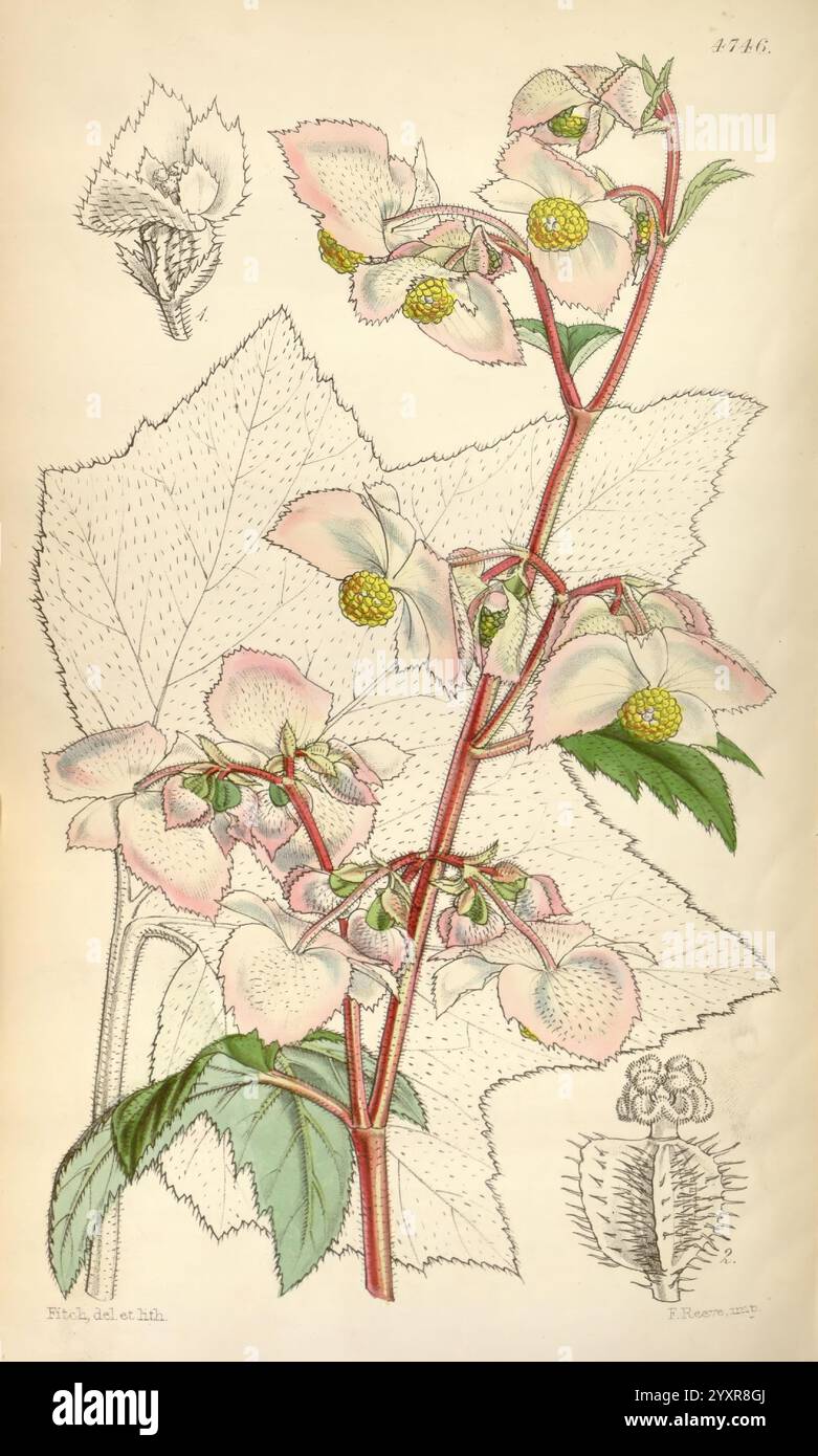 Nuanced shapes hi-res stock photography and images - Alamy