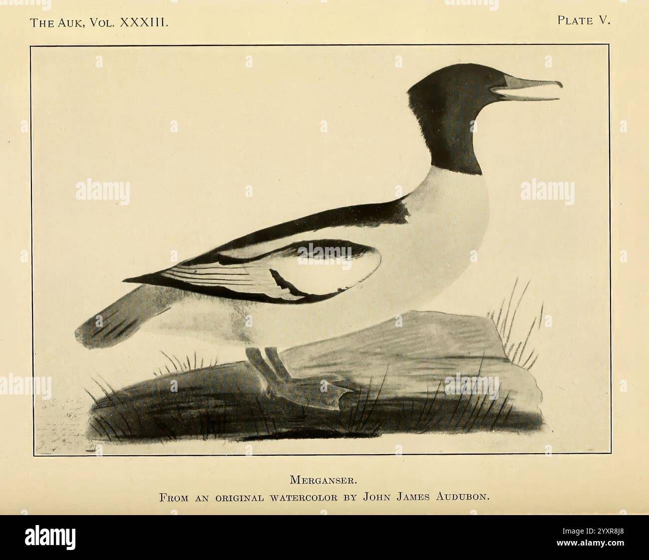 Prominent illustration depicts hi-res stock photography and images - Alamy