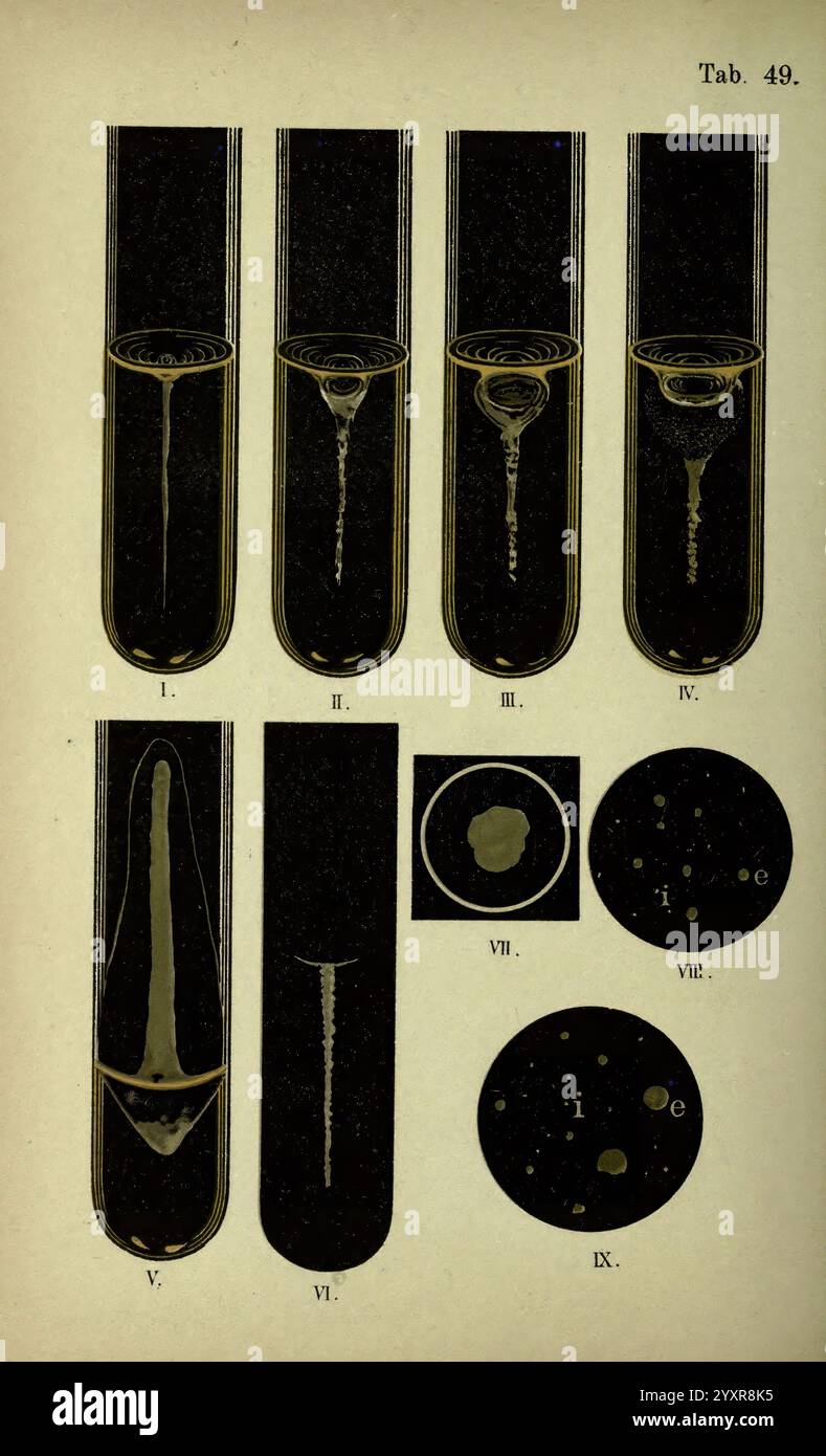 Atlas, and, essentials, of, bacteriology, New York, 1897, bacteria ...