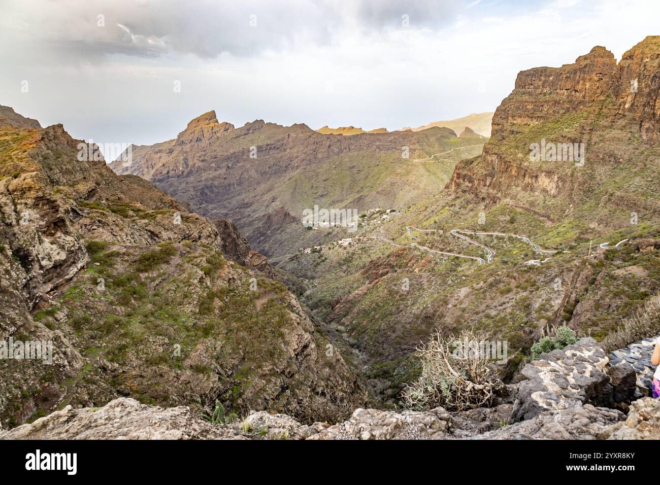 The Masca Gorge is one of the most popular places in Tenerife. Walking ...