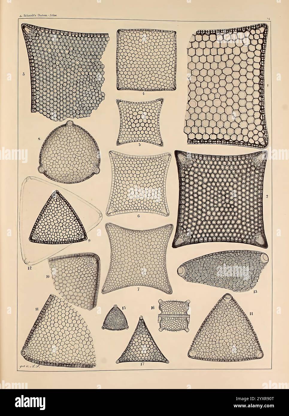 Underlying patterns hi-res stock photography and images - Alamy