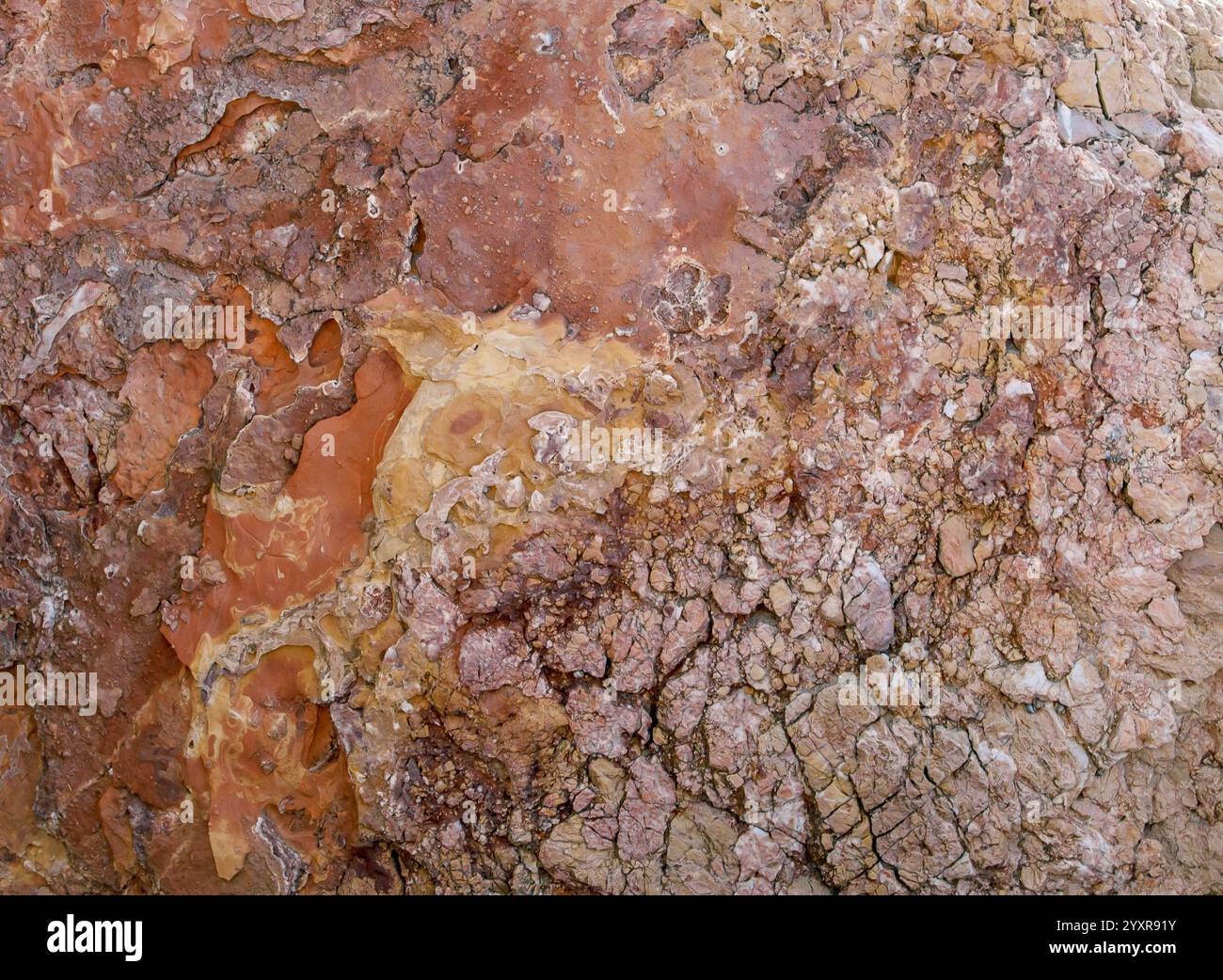 Cambril, Tarragona, Spain - December 17h 2024 - Background of natural ...