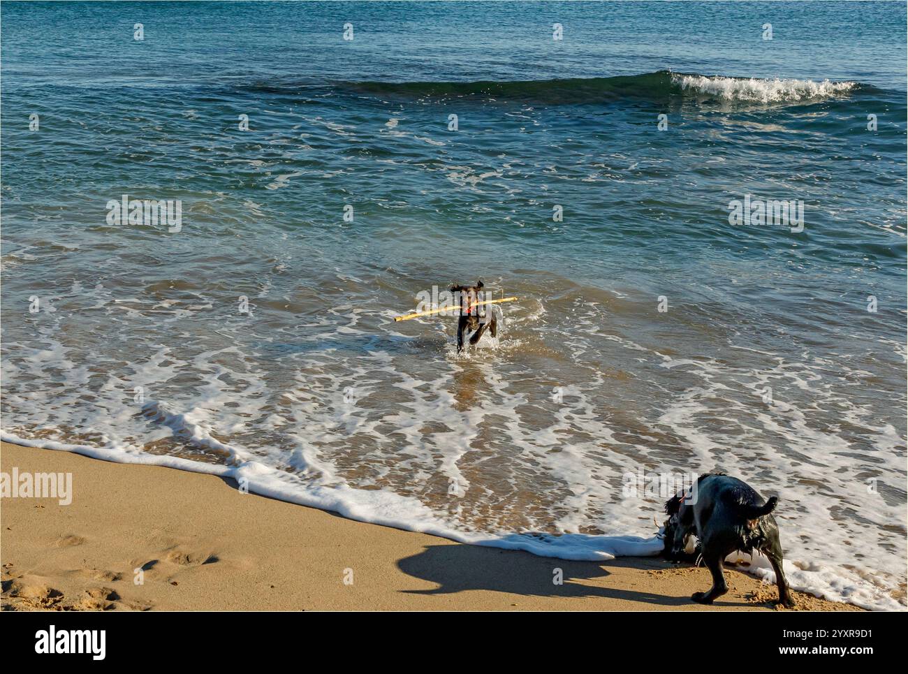 Miami, Tarragona, Spain - December 15th 2024 - Brown coloured Working ...