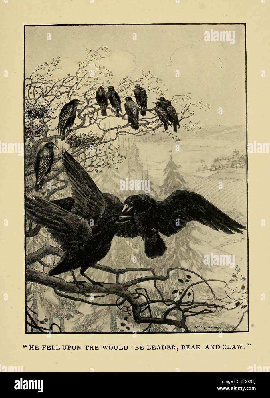 Tension filled moment hi-res stock photography and images - Alamy