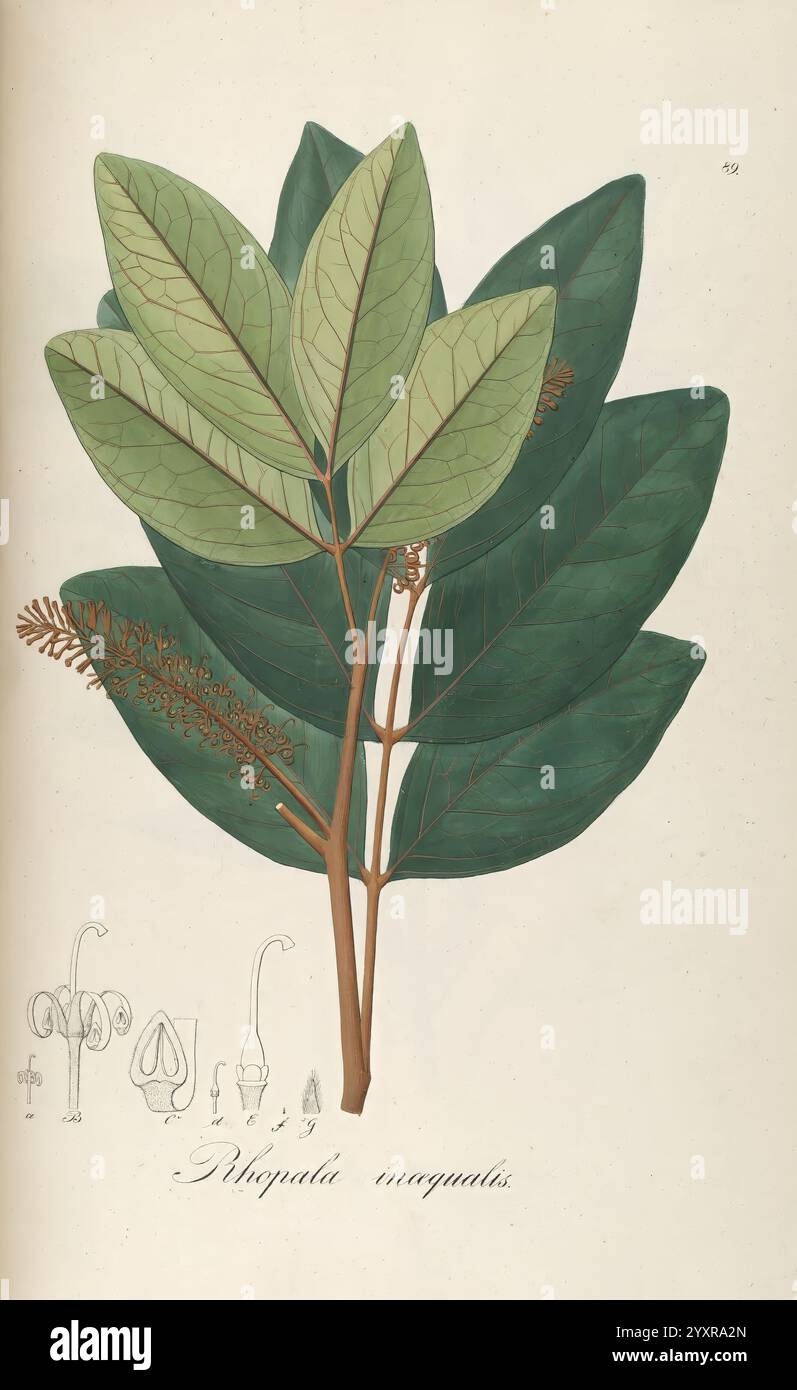 Detailed textural patterns hi-res stock photography and images - Alamy