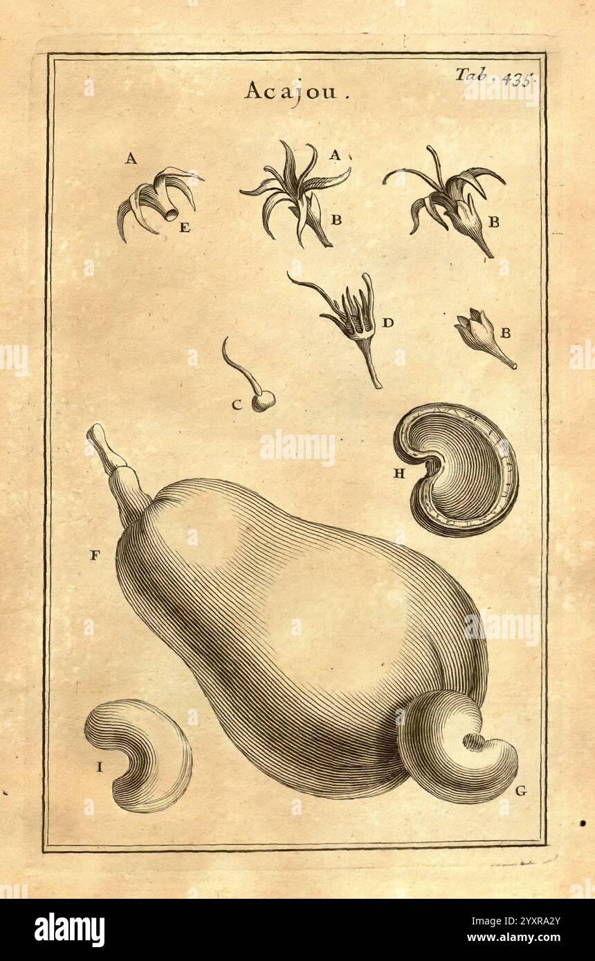 Realistic forms hi-res stock photography and images - Alamy