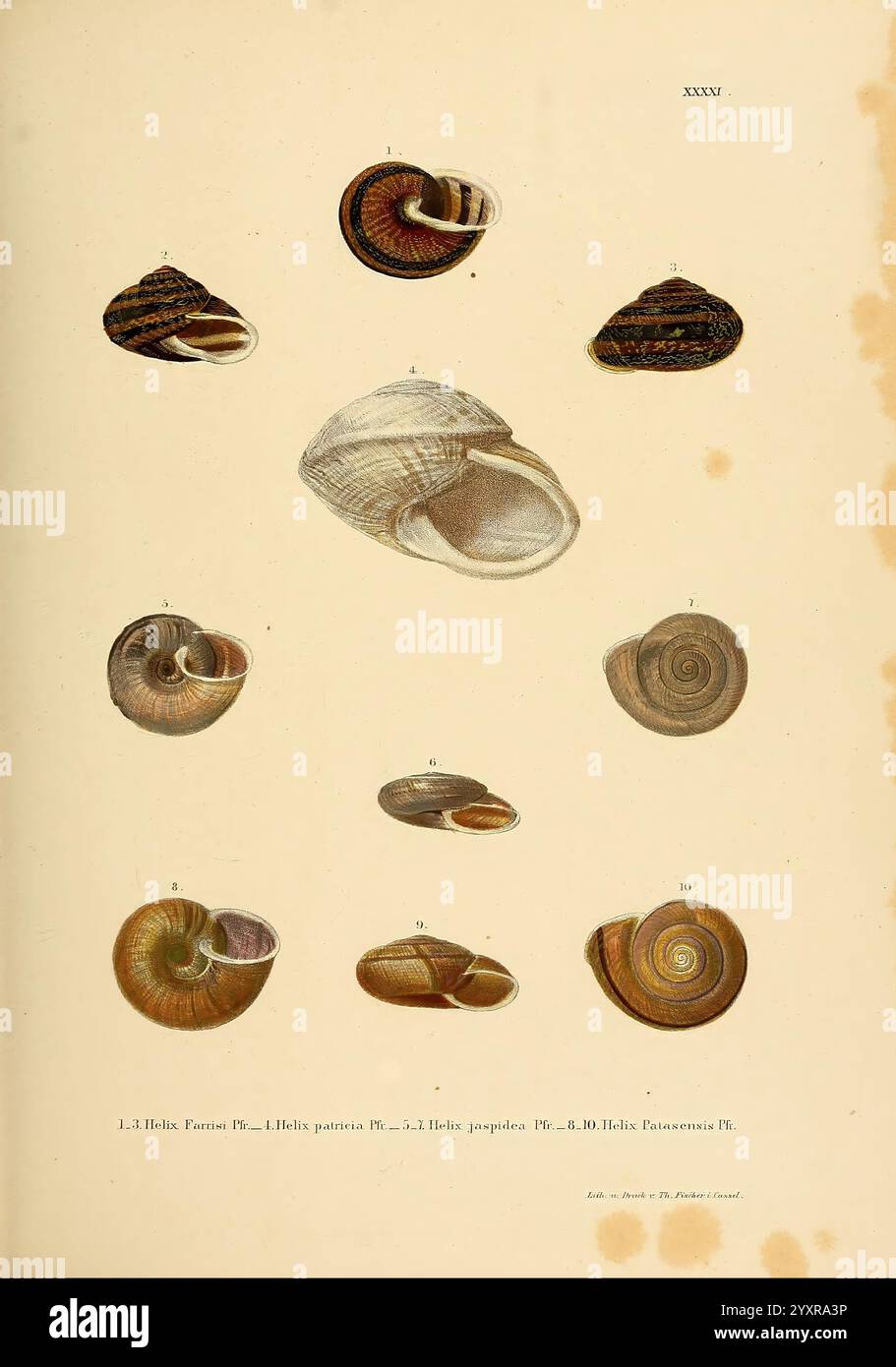 Inviting deeper exploration hi-res stock photography and images - Alamy