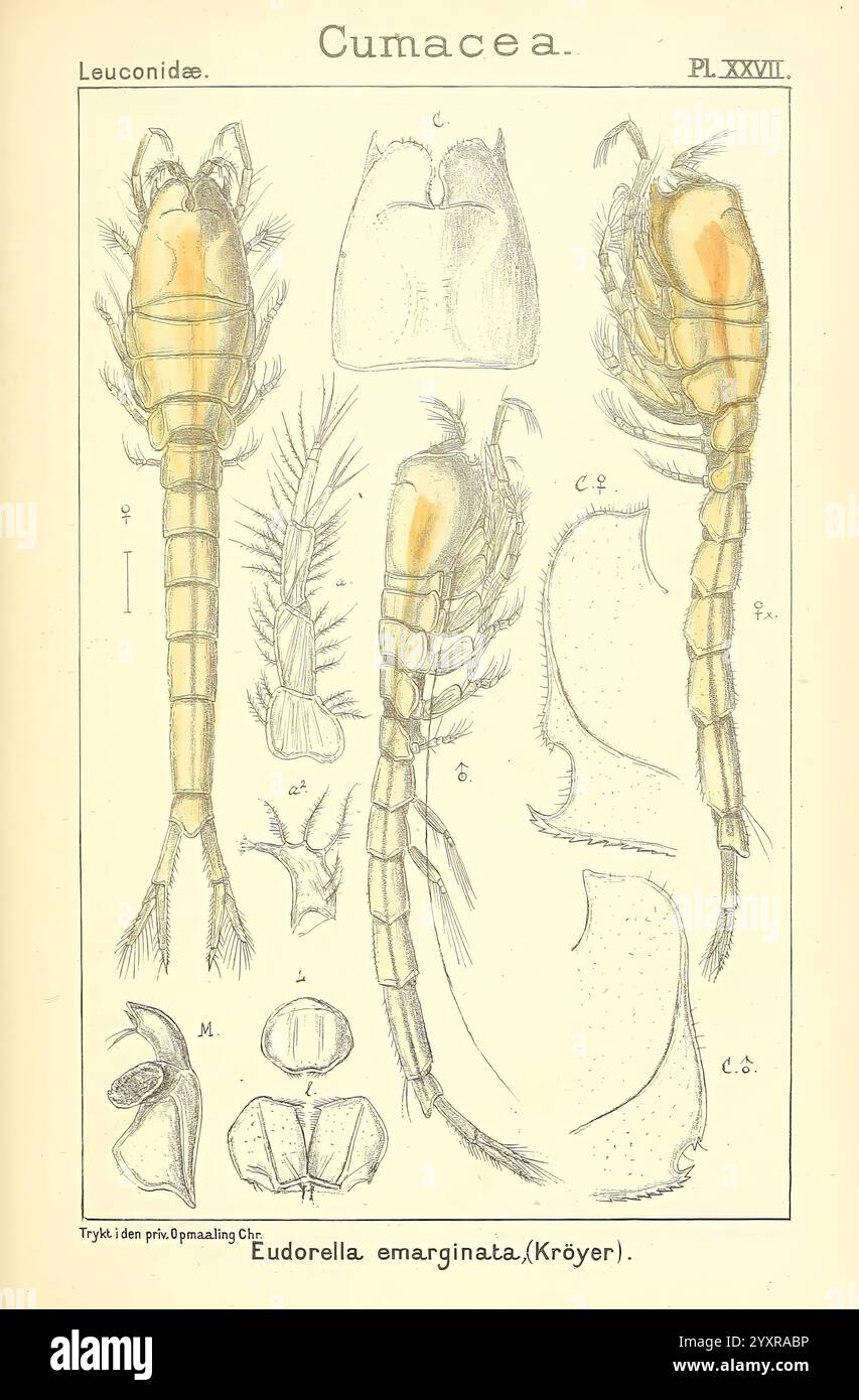 Meticulous labeling showcases hi-res stock photography and images - Alamy