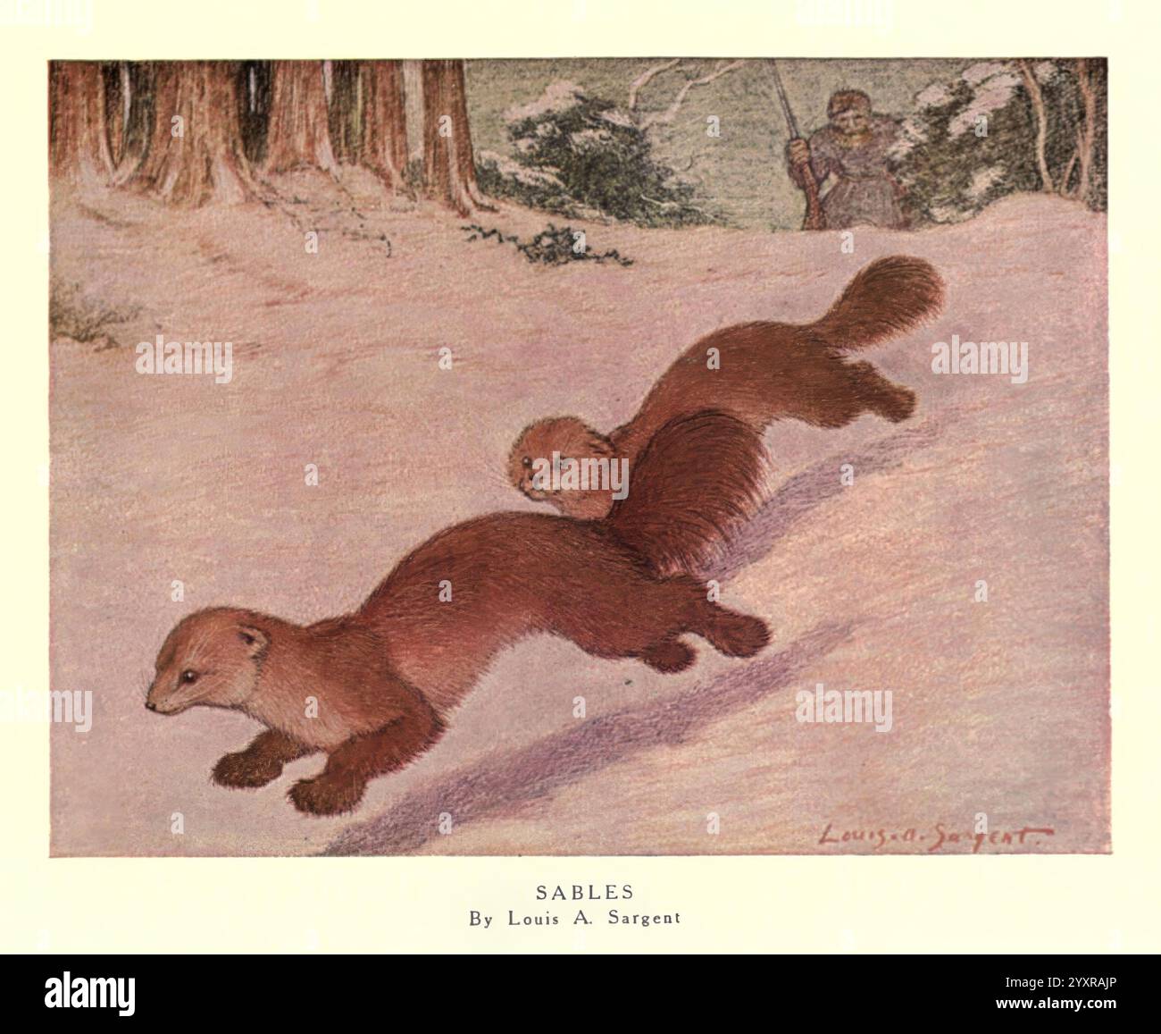 Trailing slightly hi-res stock photography and images - Alamy