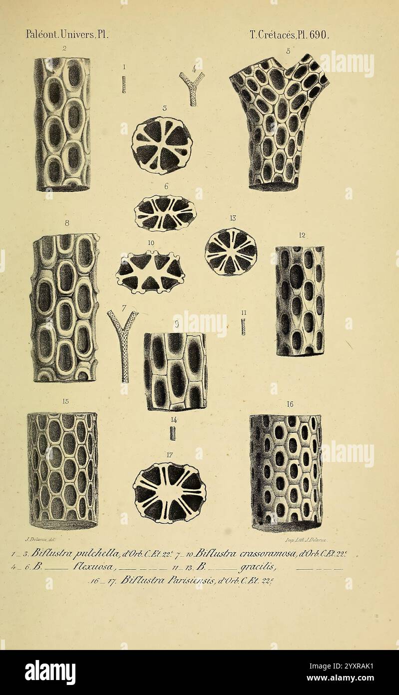 Showcasing various structural patterns hi-res stock photography and ...