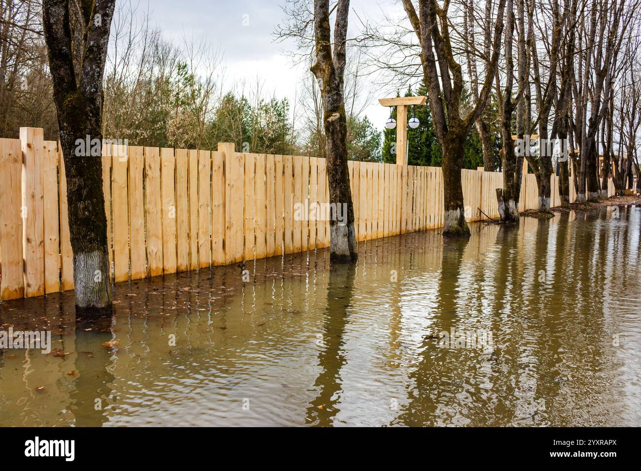 Coastal area near a river flooded during rising water levels in spring ...