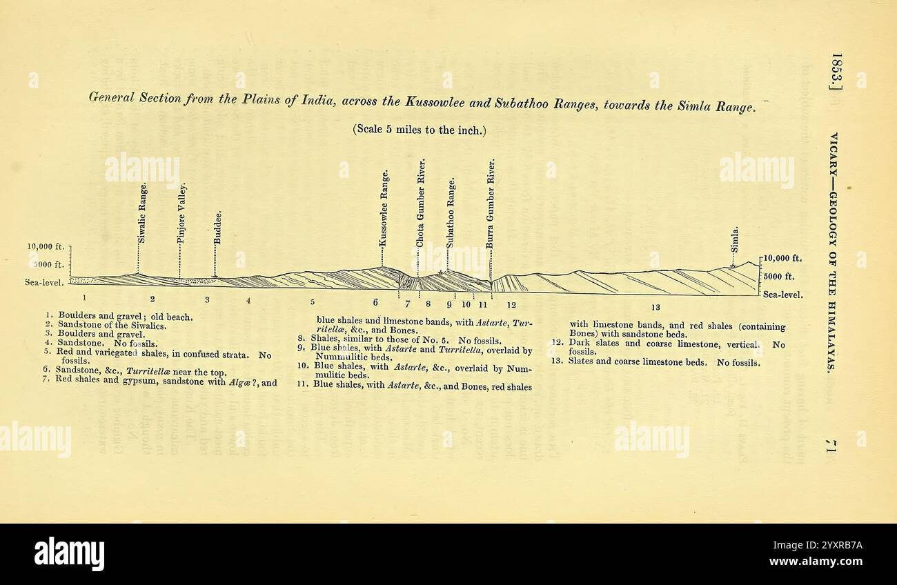 Detailed geological section illustrates hi-res stock photography and ...