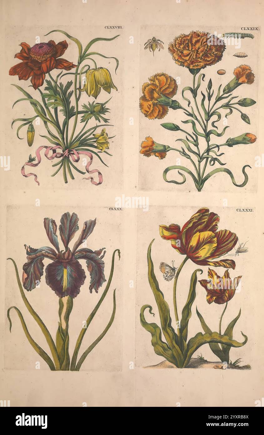 Bottom right quadrant presents hi-res stock photography and images - Alamy