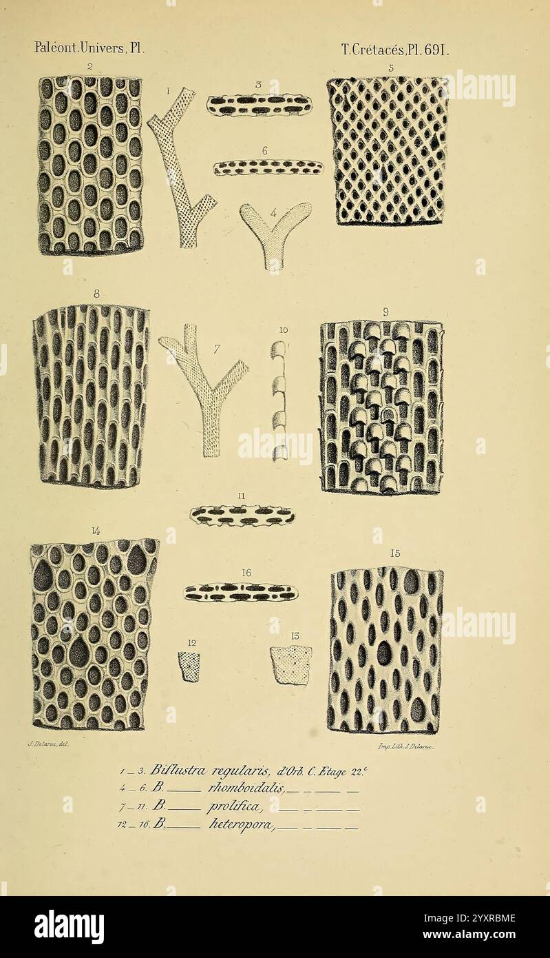 Indicate specific classifications hi-res stock photography and images - Alamy