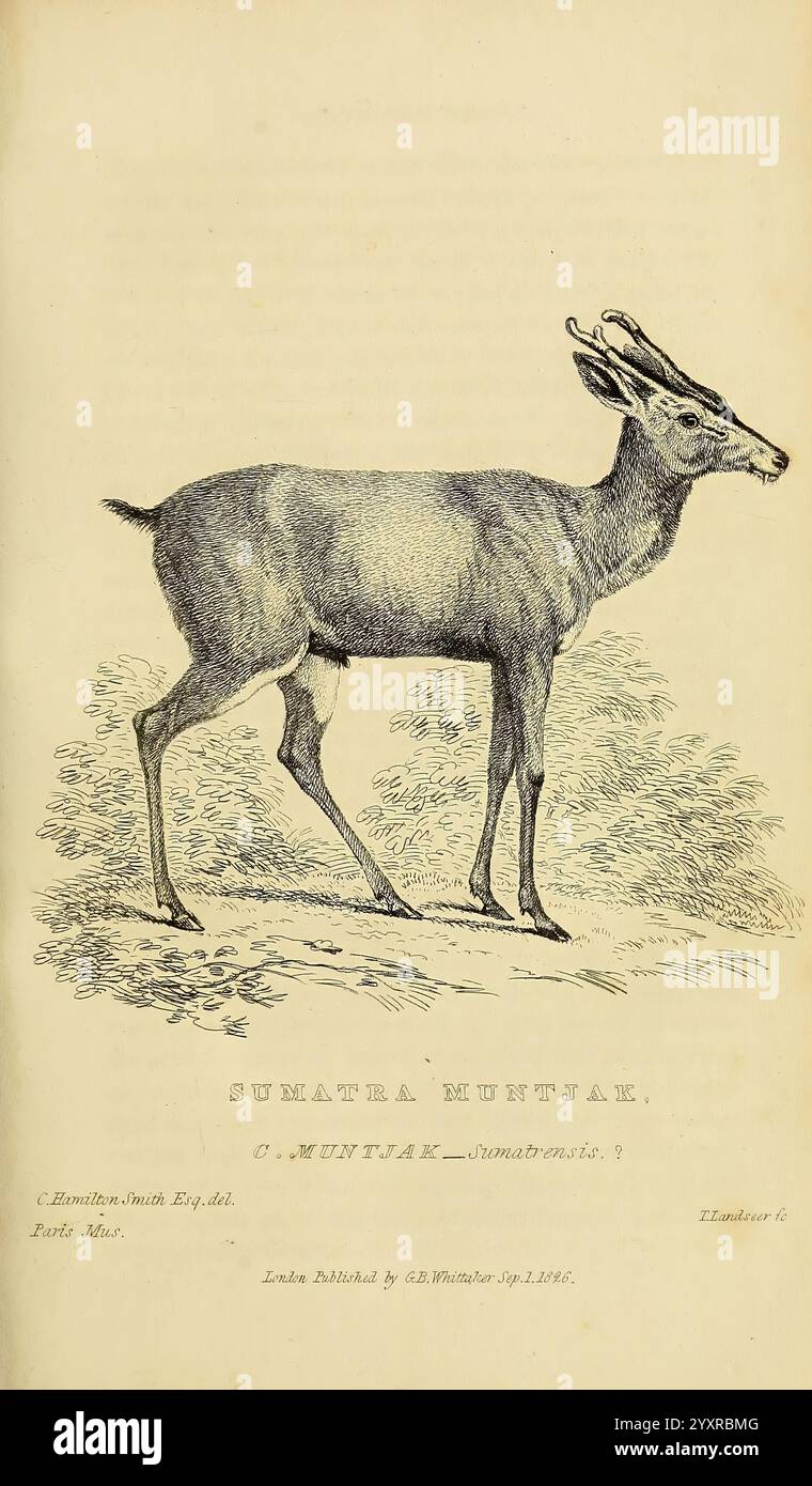 The animal kingdom, London, Printed for G. B. Whittaker, 1827-1835 ...