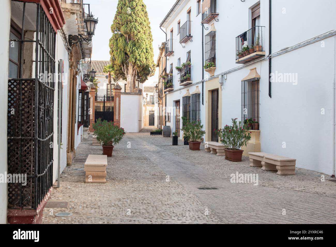 Typical street in the city of Ronda, Malaga, Andalusia, Spain Stock ...