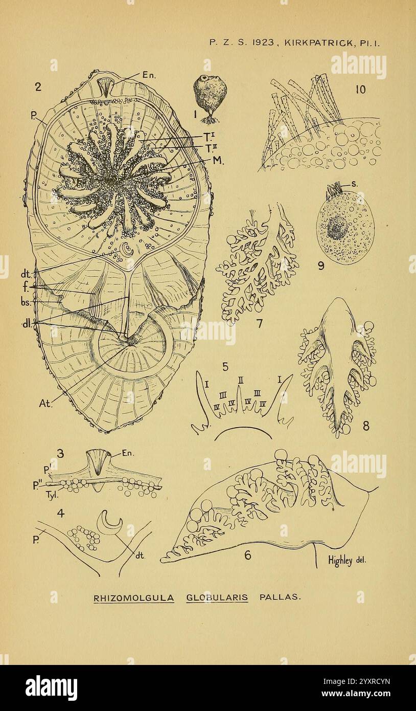 Labeled diagram indicating specific parts hi-res stock photography and ...