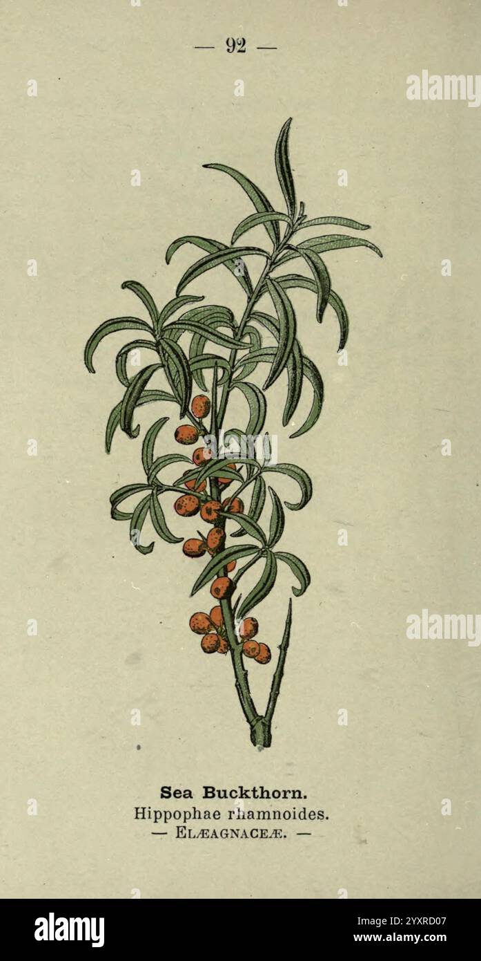 Label beneath identifying hi-res stock photography and images - Alamy