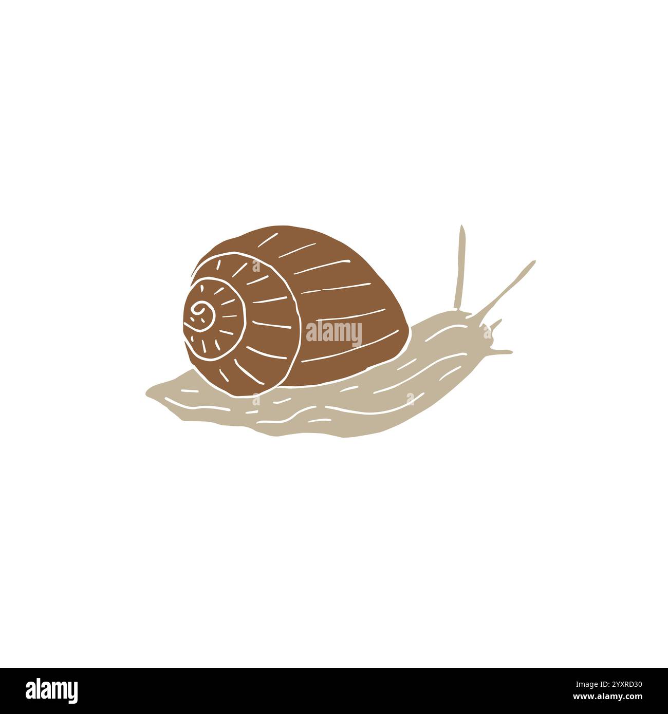 Vector hand drawn doodle sketch snail isolated on white background ...
