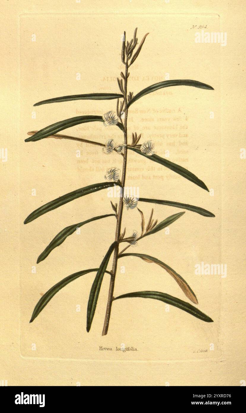 Formal labeling hi-res stock photography and images - Alamy