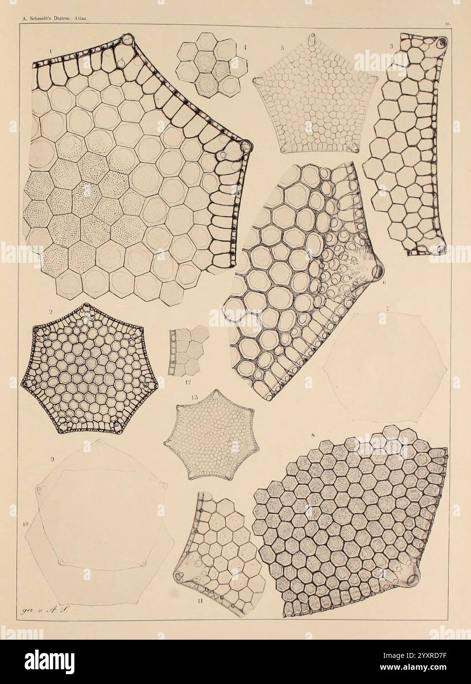 Pentagonal patterns hi-res stock photography and images - Alamy