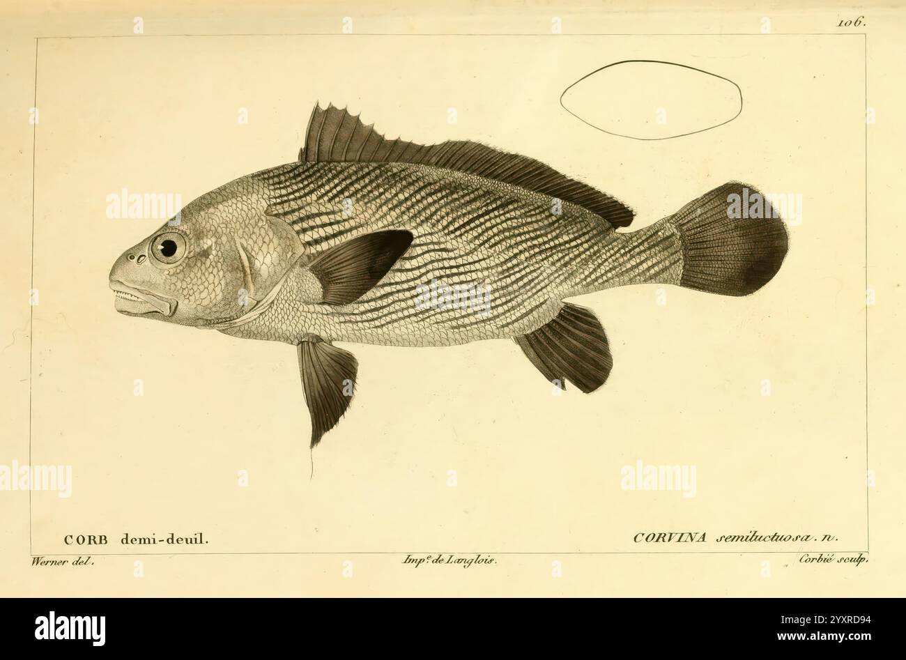 Positioned sideways hi-res stock photography and images - Alamy