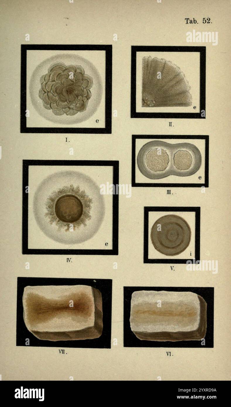 Two circular forms hi-res stock photography and images - Alamy