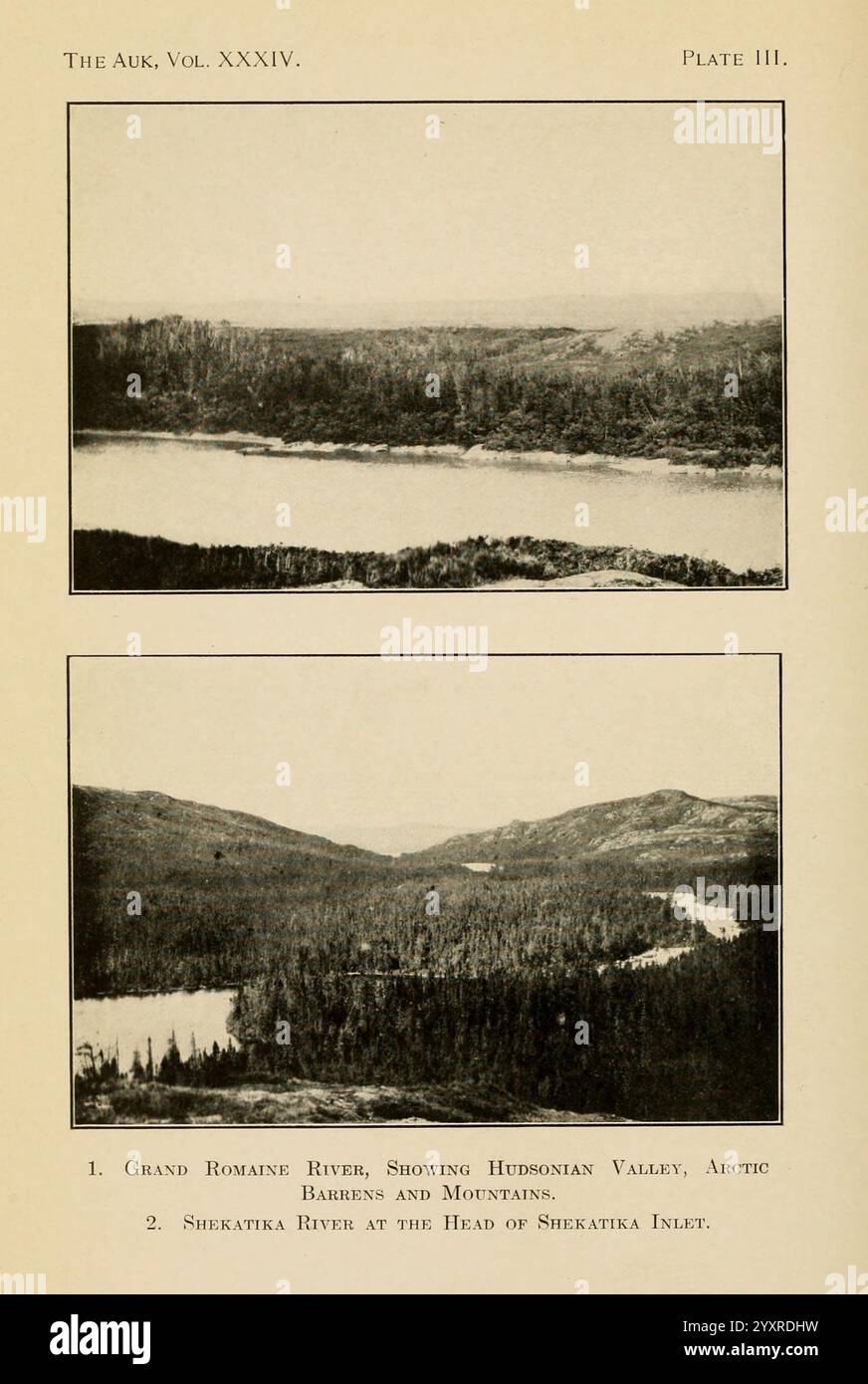 The Auk Washington, D.C. American Ornithologists' Union etc. 1884 ...