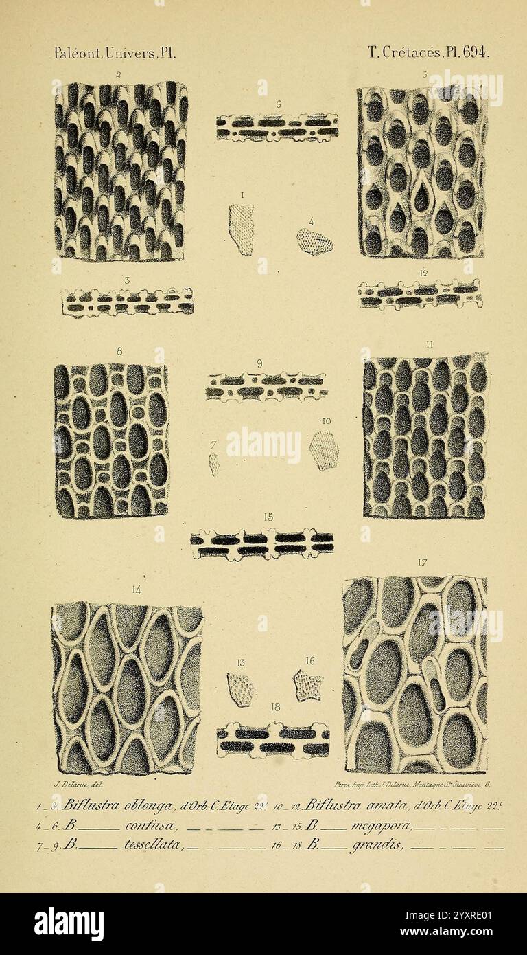 Labeled section showcases different forms hi-res stock photography and ...