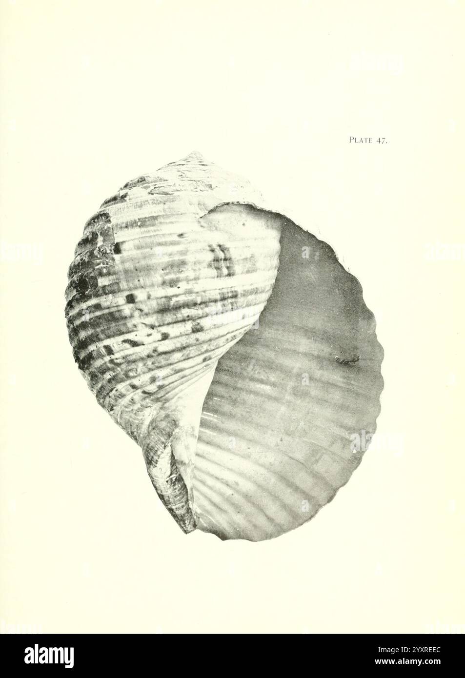 Specimen label printer hi-res stock photography and images - Alamy