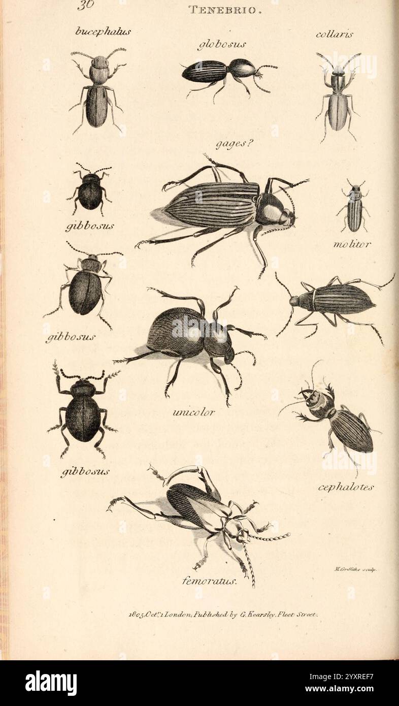 Showcases multiple angles hi-res stock photography and images - Alamy