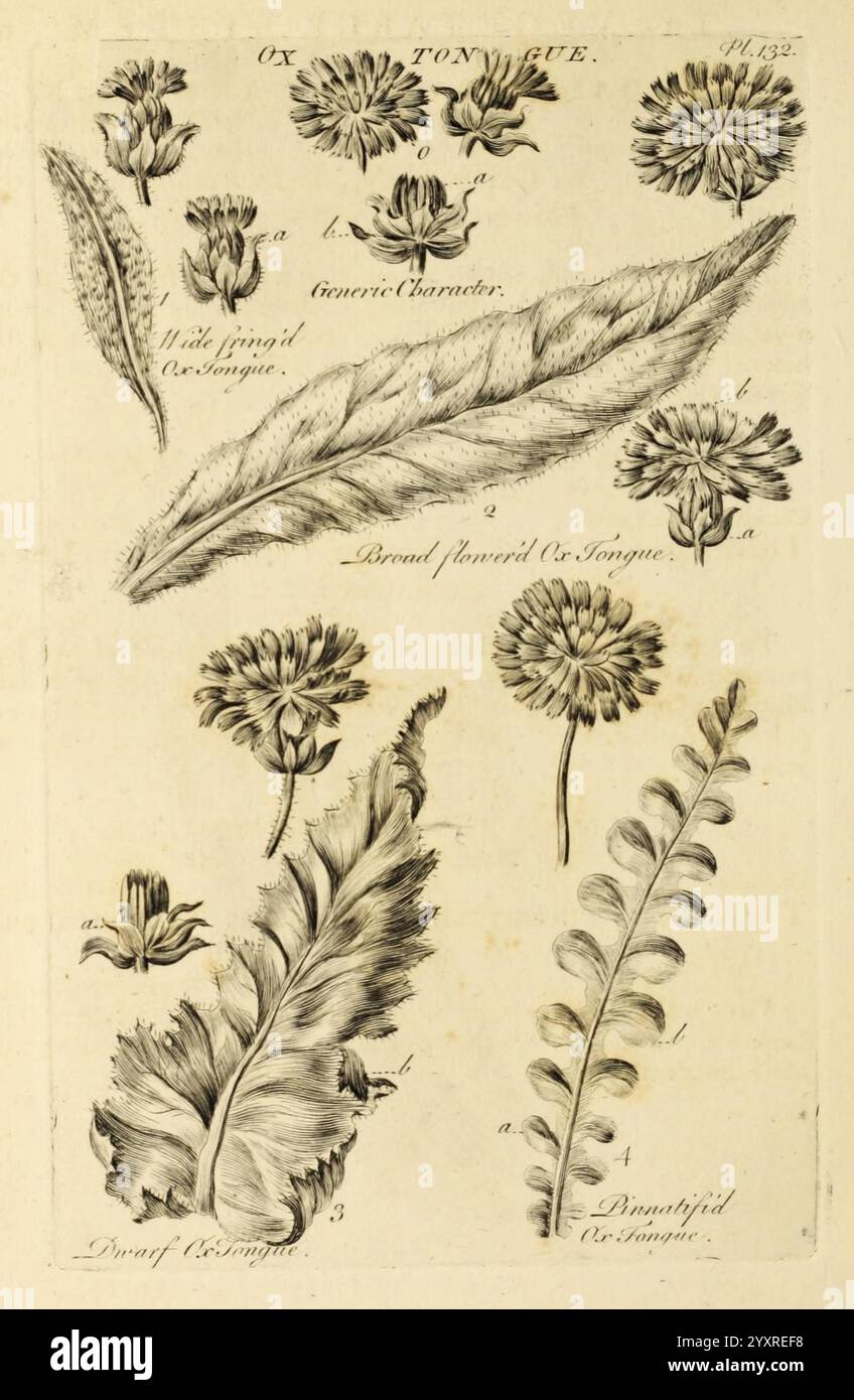 Labeled annotations specifying hi-res stock photography and images - Alamy