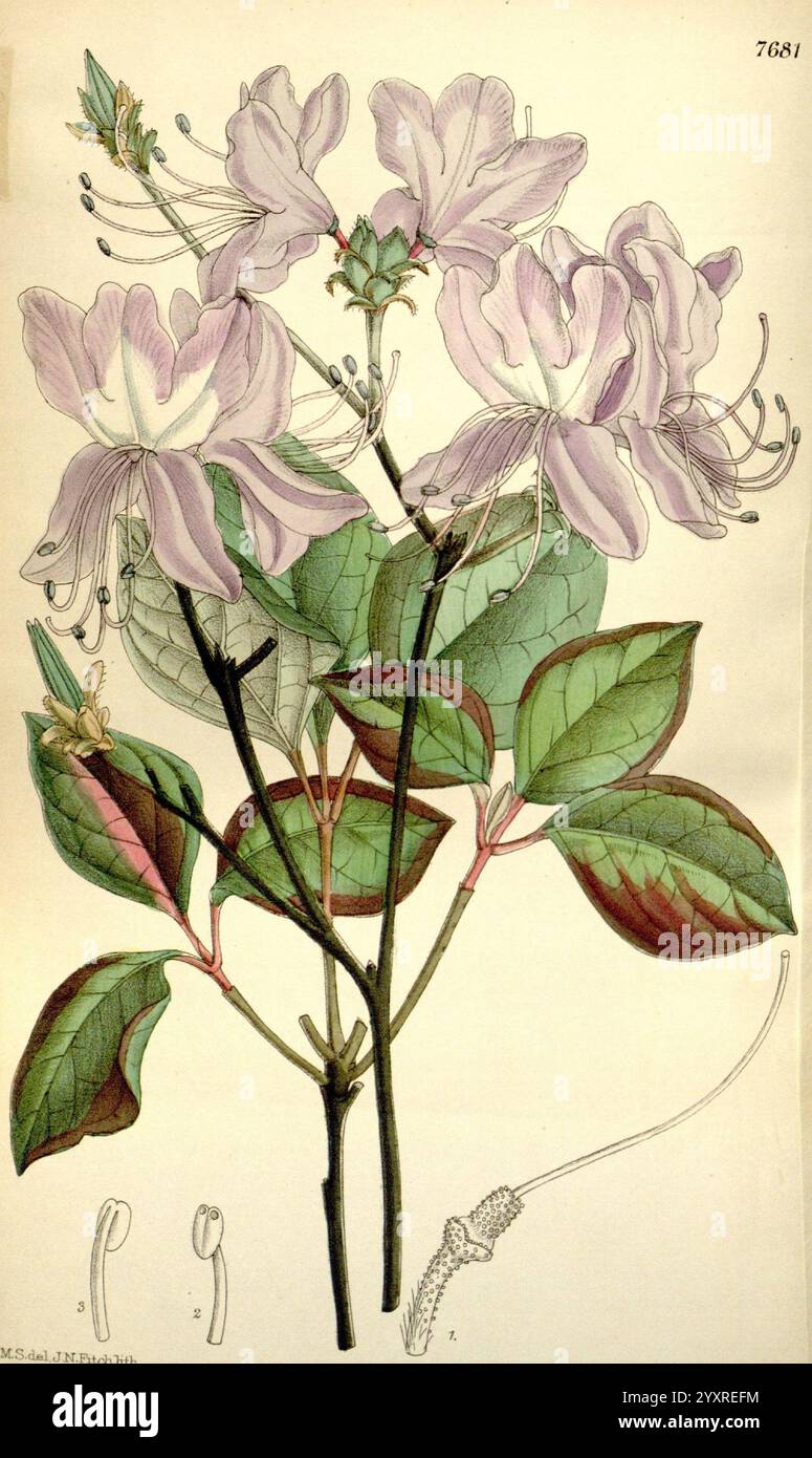 Detailed annotations labeling hi-res stock photography and images - Alamy