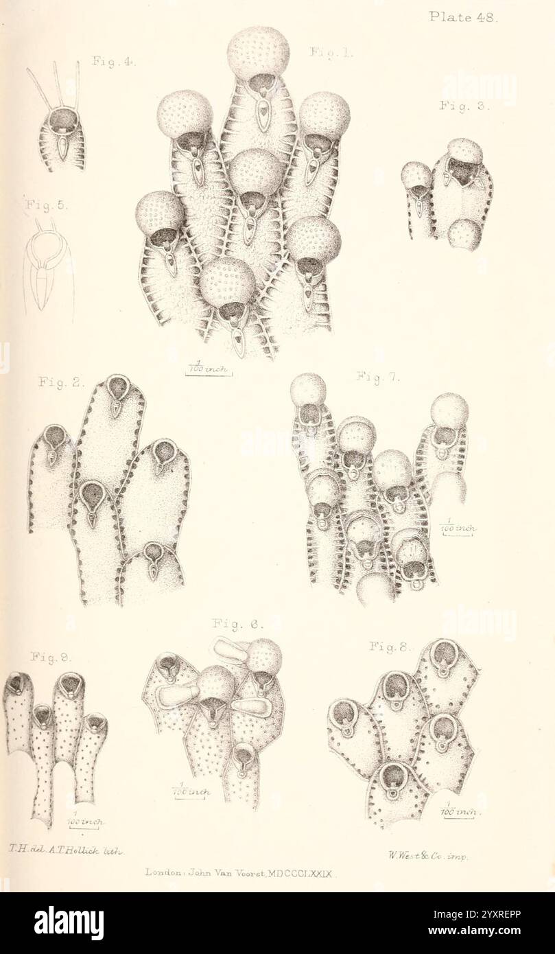 Descriptive annotations hi-res stock photography and images - Alamy