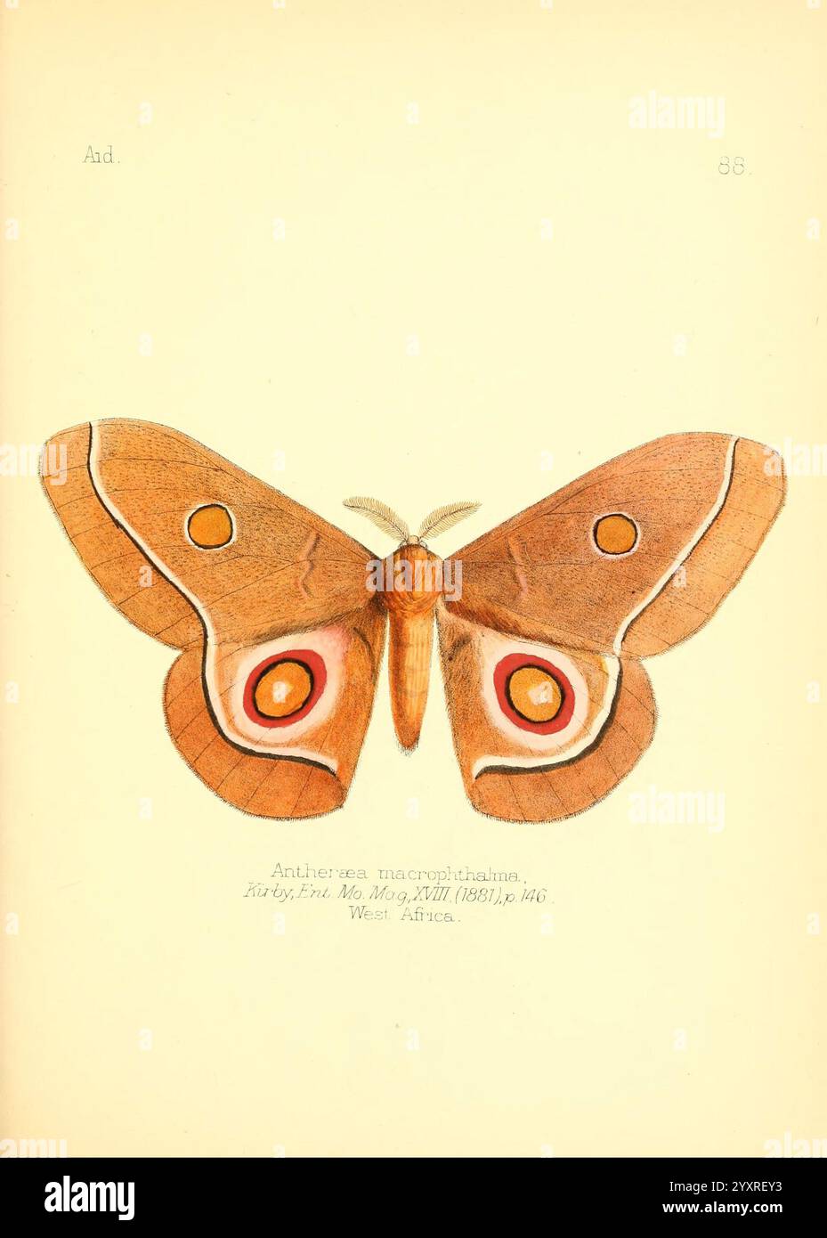 Vibrant circular markings hi-res stock photography and images - Alamy