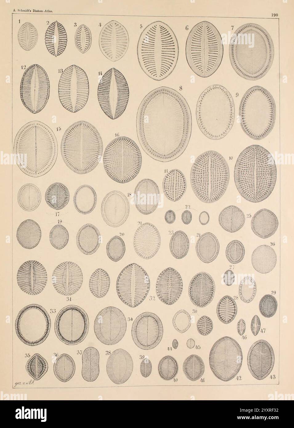 Varying line thickness hi-res stock photography and images - Alamy