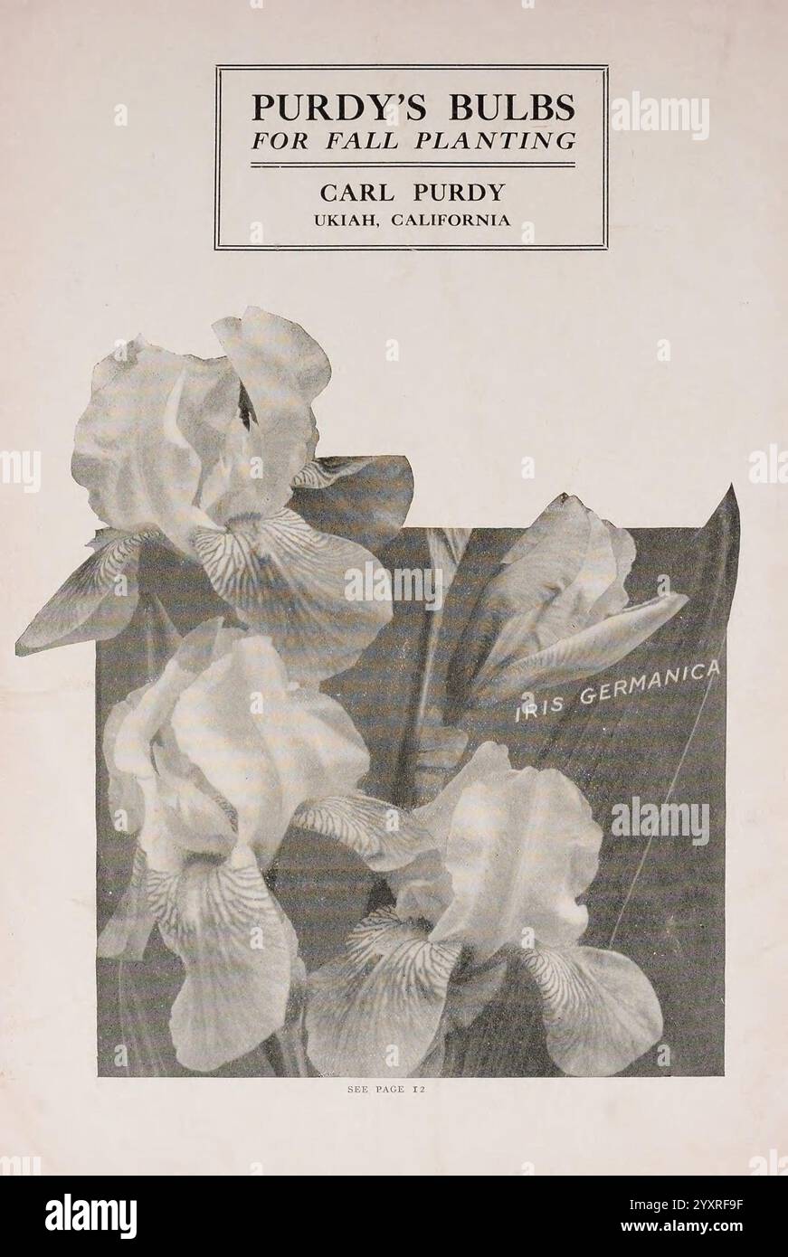 Design combines subtle textures hi-res stock photography and images - Alamy