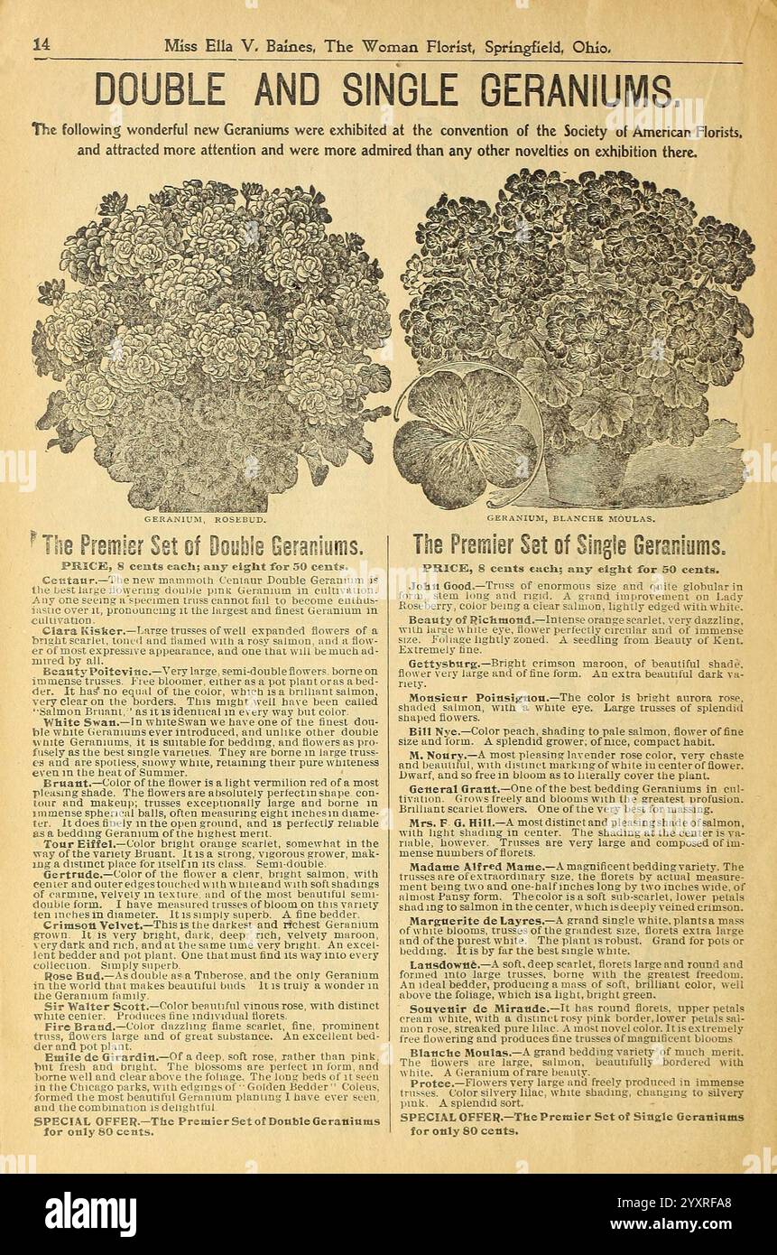 Double feature advertisement hi-res stock photography and images - Alamy