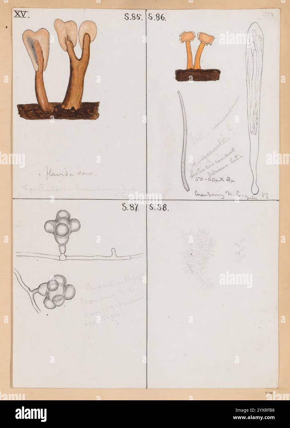 Bottom right quadrant presents hi-res stock photography and images - Alamy