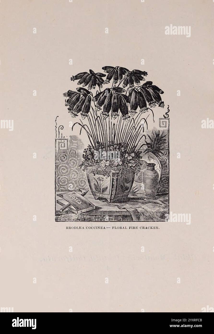 Additional vessels hi-res stock photography and images - Alamy